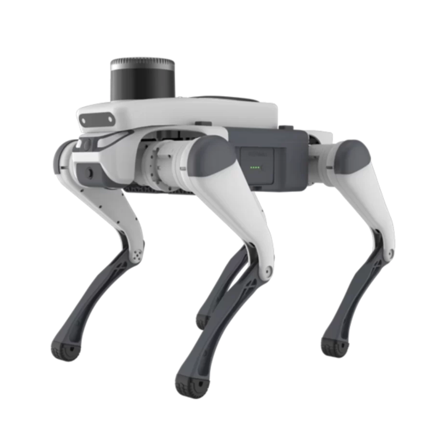 Cane Robot: la robotica "quadrupede" dalle molteplici aree di ...